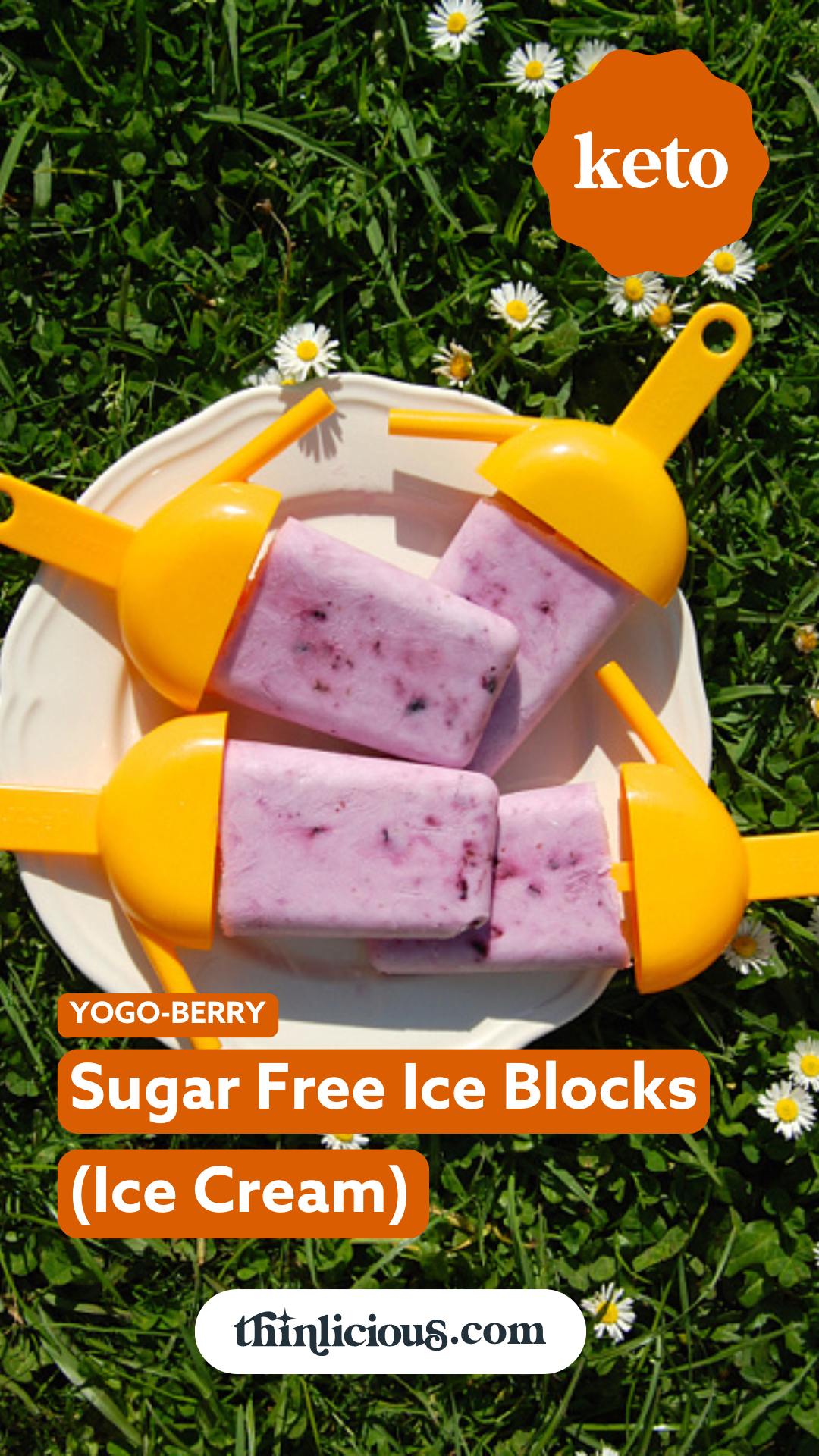 Yogo-Berry Sugar Free Ice Blocks (Ice Cream) - Thinlicious