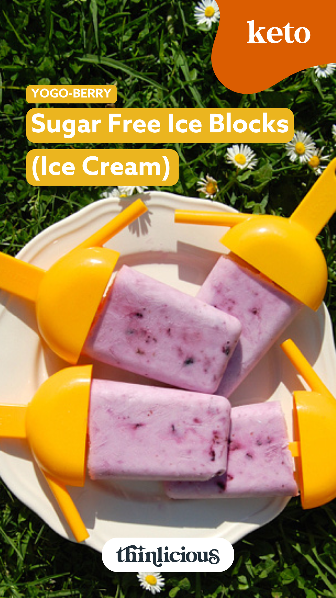 Yogo-Berry Sugar Free Ice Blocks (Ice Cream) - Thinlicious