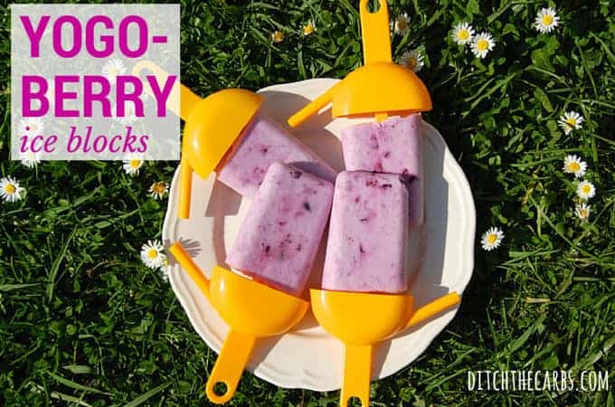 Yogo-Berry Sugar Free Ice Blocks (Ice Cream) - Thinlicious
