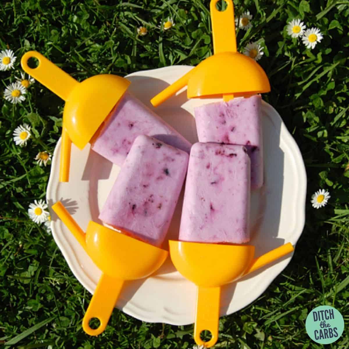 Yogo-Berry Sugar Free Ice Blocks (Ice Cream) - Thinlicious