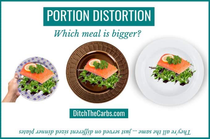 Easy Portion Control (What does 30g protein look like?) + PROTEIN CHARTS