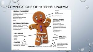 What Is Insulin Resistance (And Hyperinsulinemia?) - Thinlicious