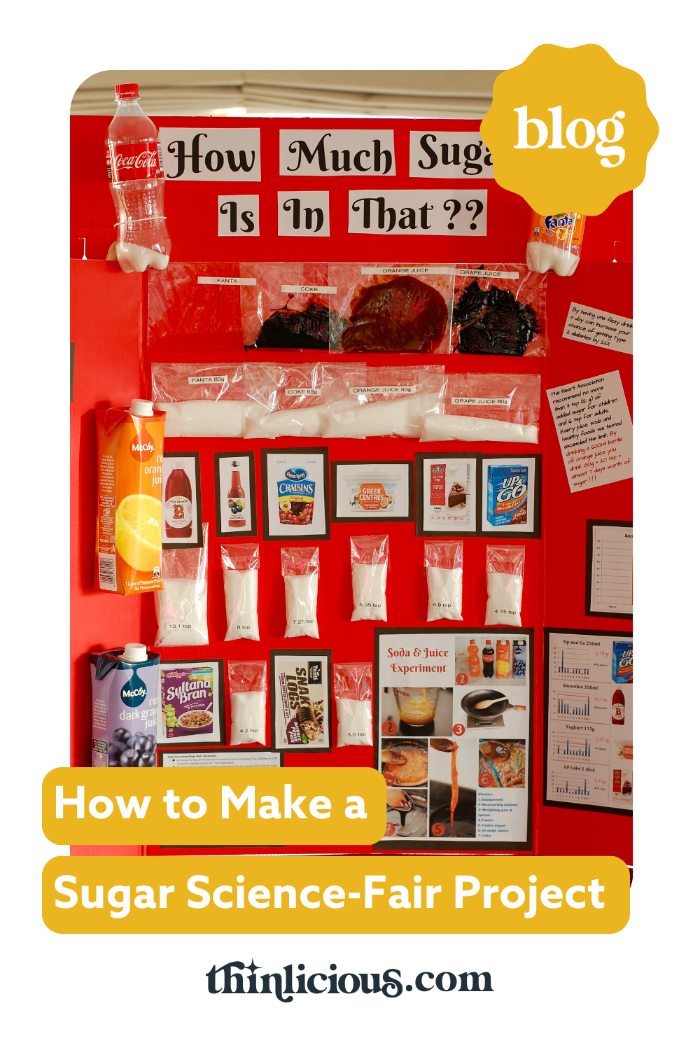 Sugar 🔬 Science Fair Project - help your kids do THIS!