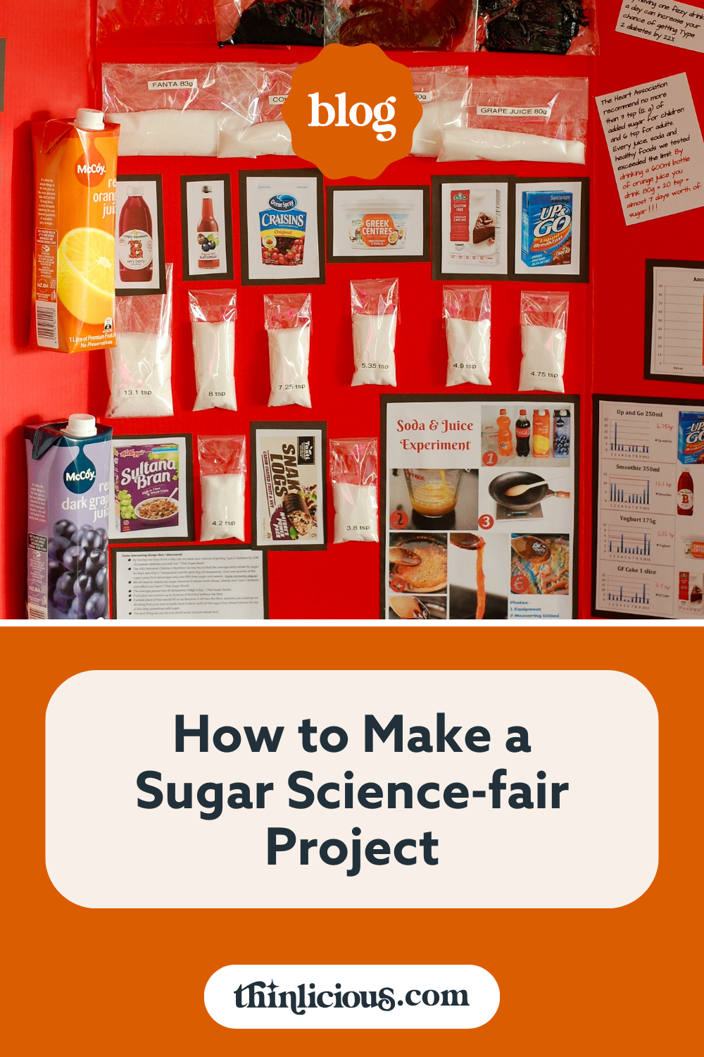 Sugar 🔬 Science Fair Project - help your kids do THIS!