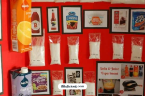 Sugar 🔬 Science Fair Project - help your kids do THIS!